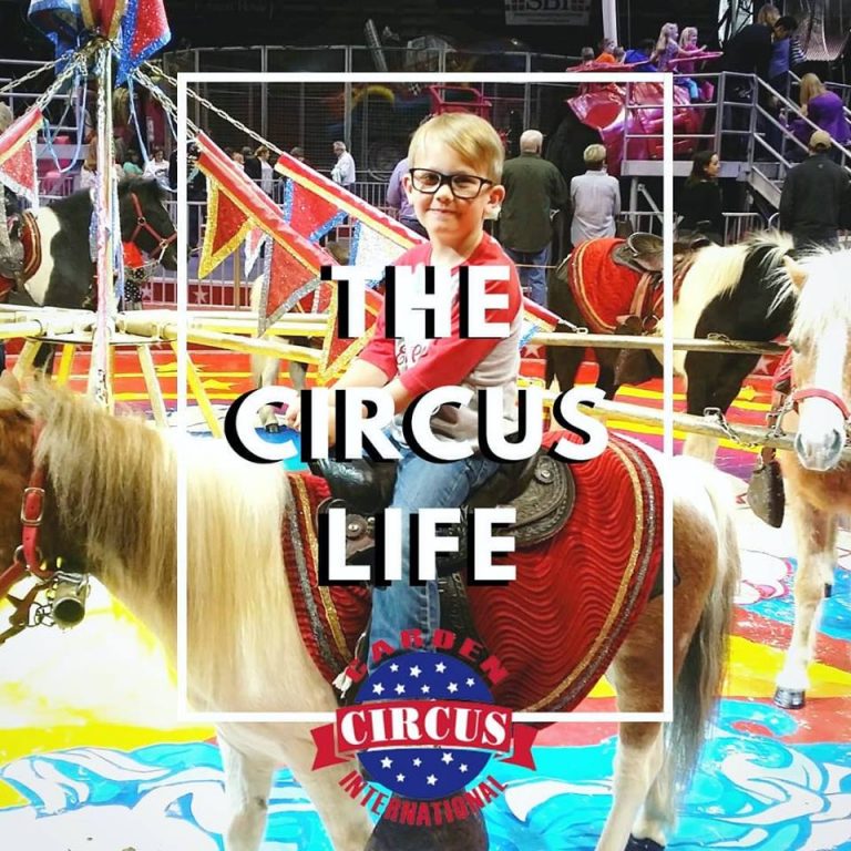 Your Most Frequently Asked Questions – Carden Circus