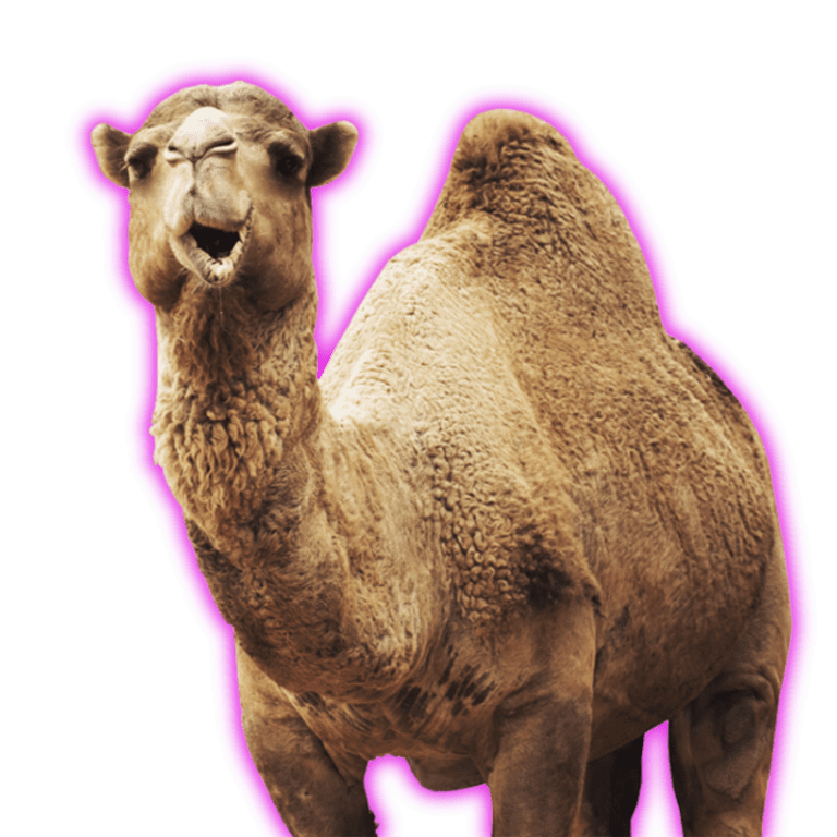 Carden Circus – The Real Entertainment Giant